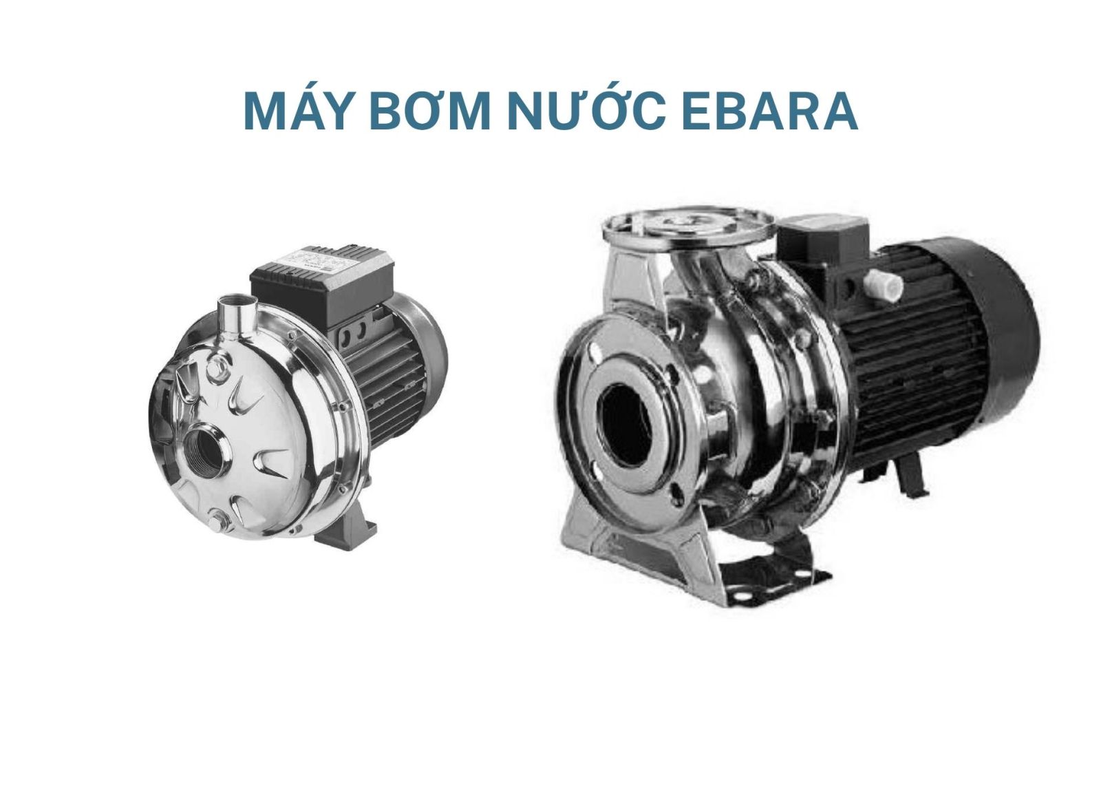 Máy Bơm Nước EBARA Chính Hãng tại TP.HCM | Báo Giá & Tư Vấn
